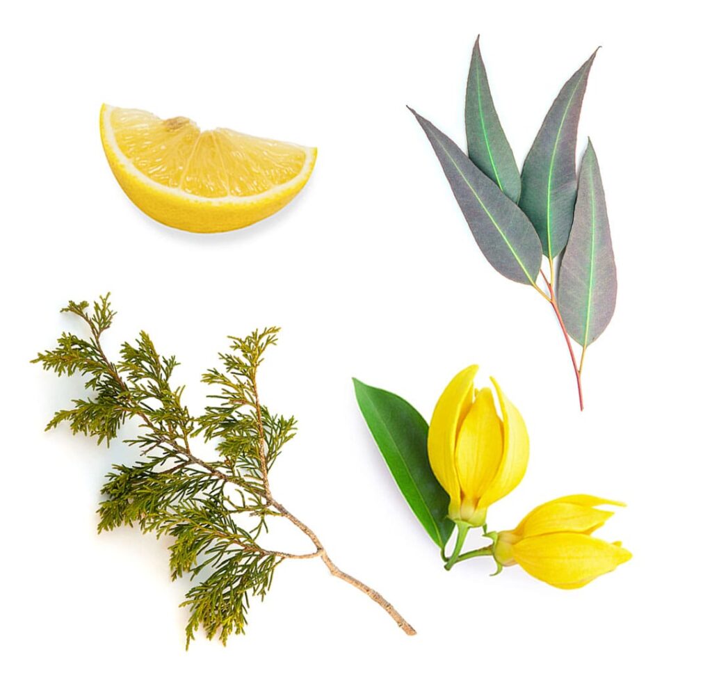 TerraShield™ - Oli ōils